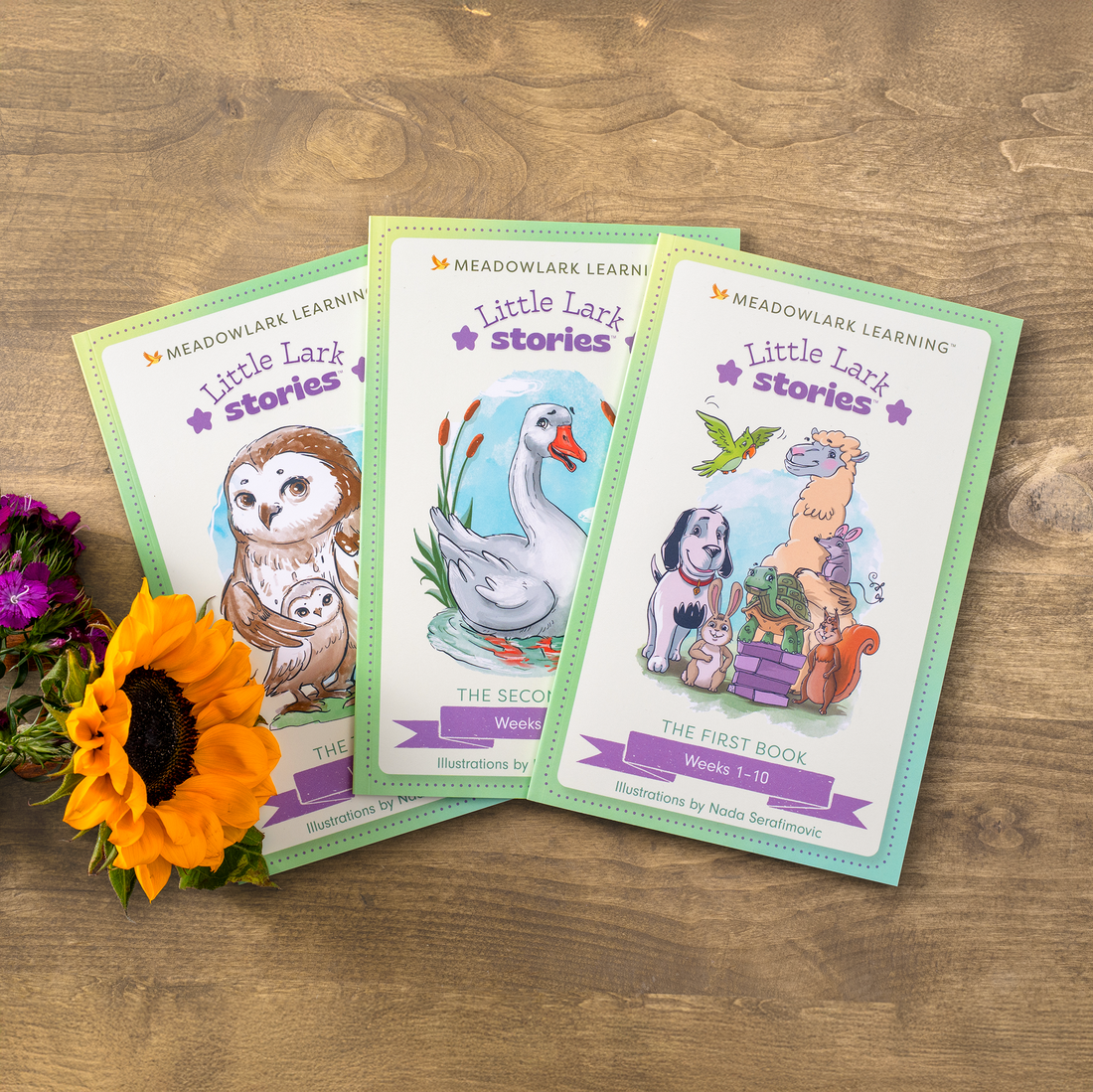 Preschool Resources | Secular Preschool Homeschool Curriculum