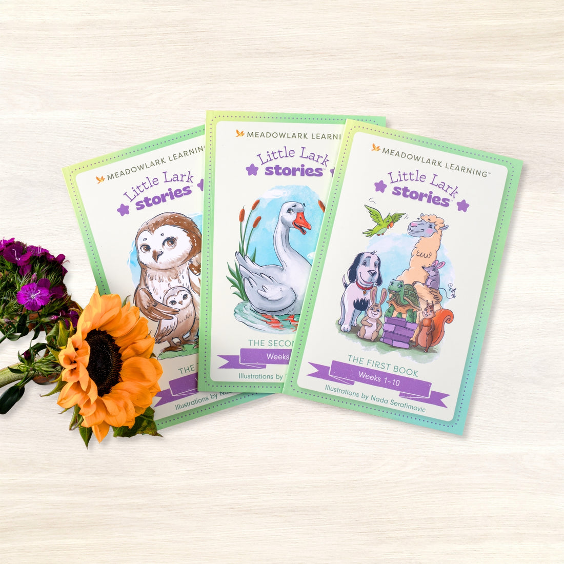 Preschool Resources | Secular Preschool Homeschool Curriculum
